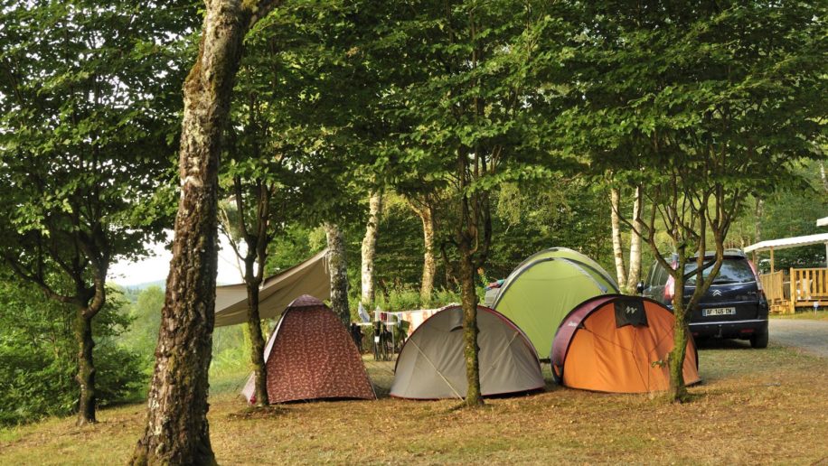 Flower Camping La Plage - Campingfrankrijk.eu