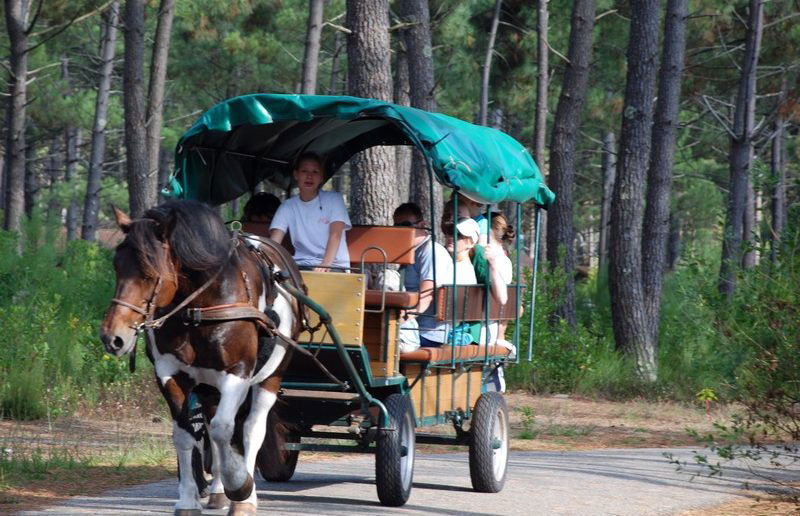 Domaine résidentiel naturiste La Jenny - Campingzuidfrankrijk.nl