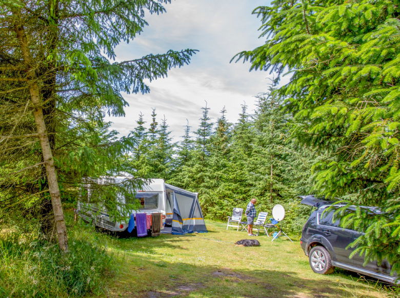 Natuurcamping in Denemarken - Kamperen in de natuur | Natuurcamping.nl