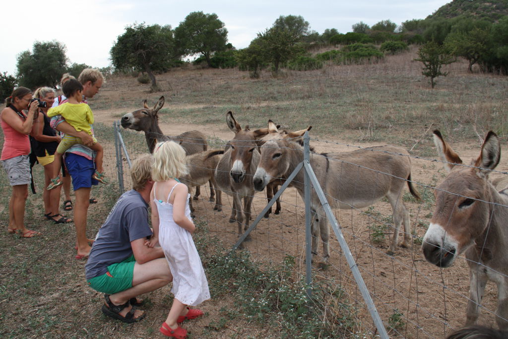 Camping Capo Ferrato - Vakantie op Sardinië - Italië