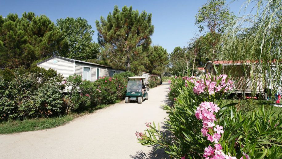 Camping Perla di Mare - Campingzuidfrankrijk.nl