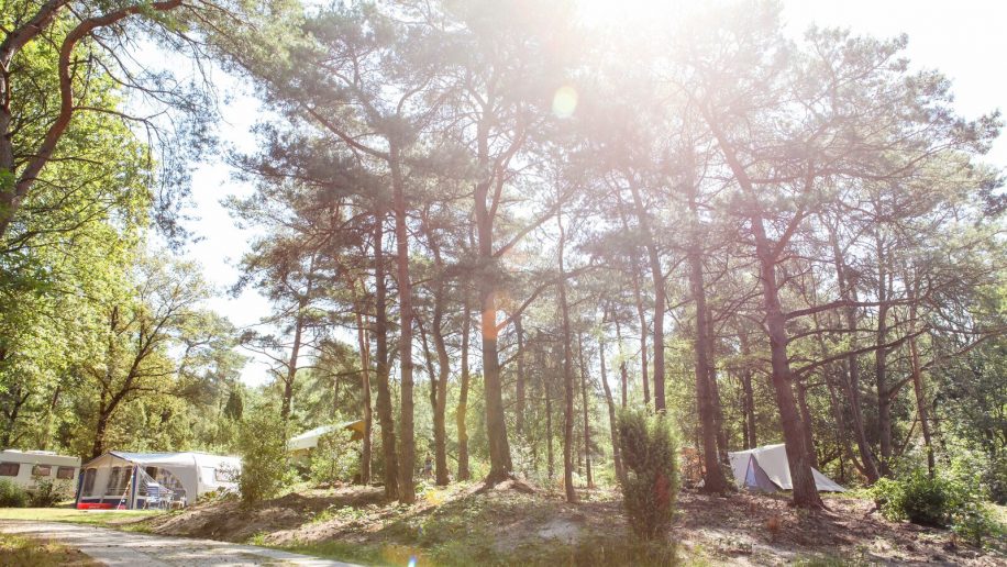 Camping De Berenkuil - Charmecamping.de