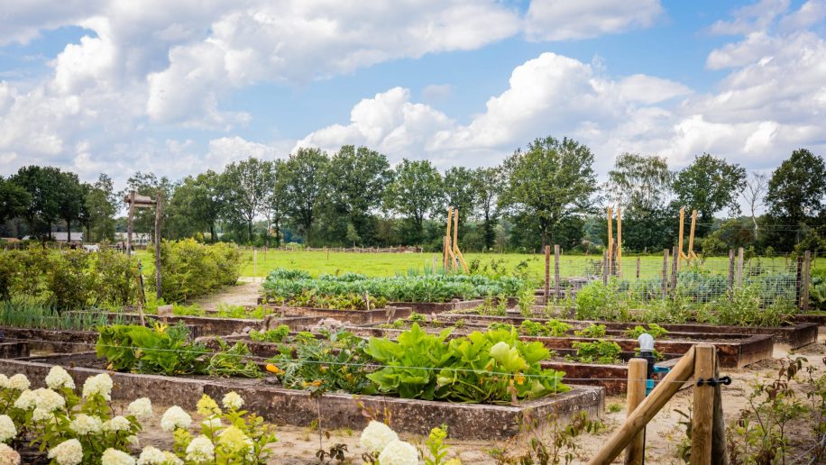 FarmCamps BoeBaDoe - Kidscamping.nl