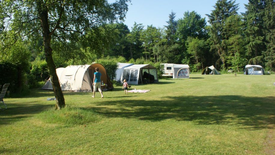Boscamping Appelscha - Charmecamping.de