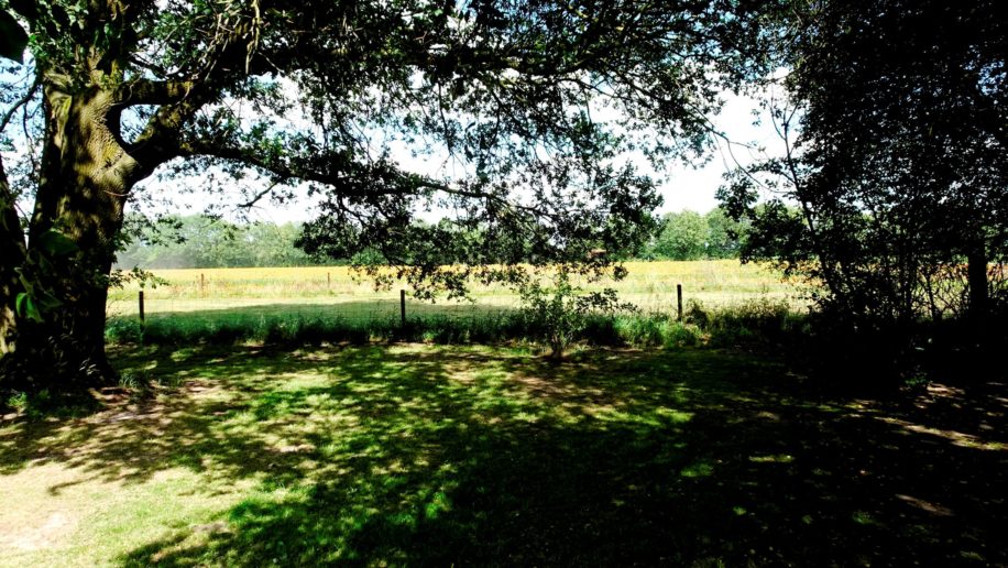 Hoeve de Knol - Charmecamping.de