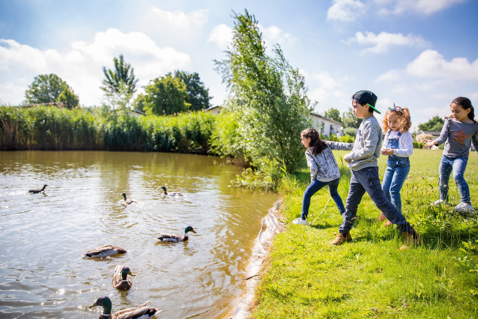 TopParken Recreatiepark het Esmeer - Campingspotter.nl