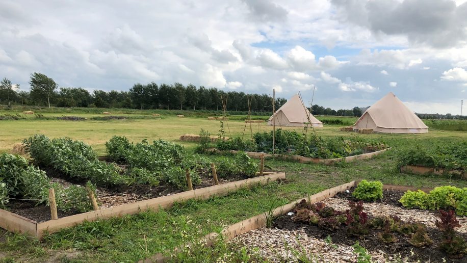 Stadsboerderij De Sibbe - Charmecamping.nl