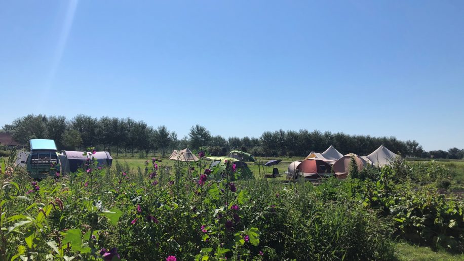 Stadsboerderij De Sibbe - Charmecamping.nl