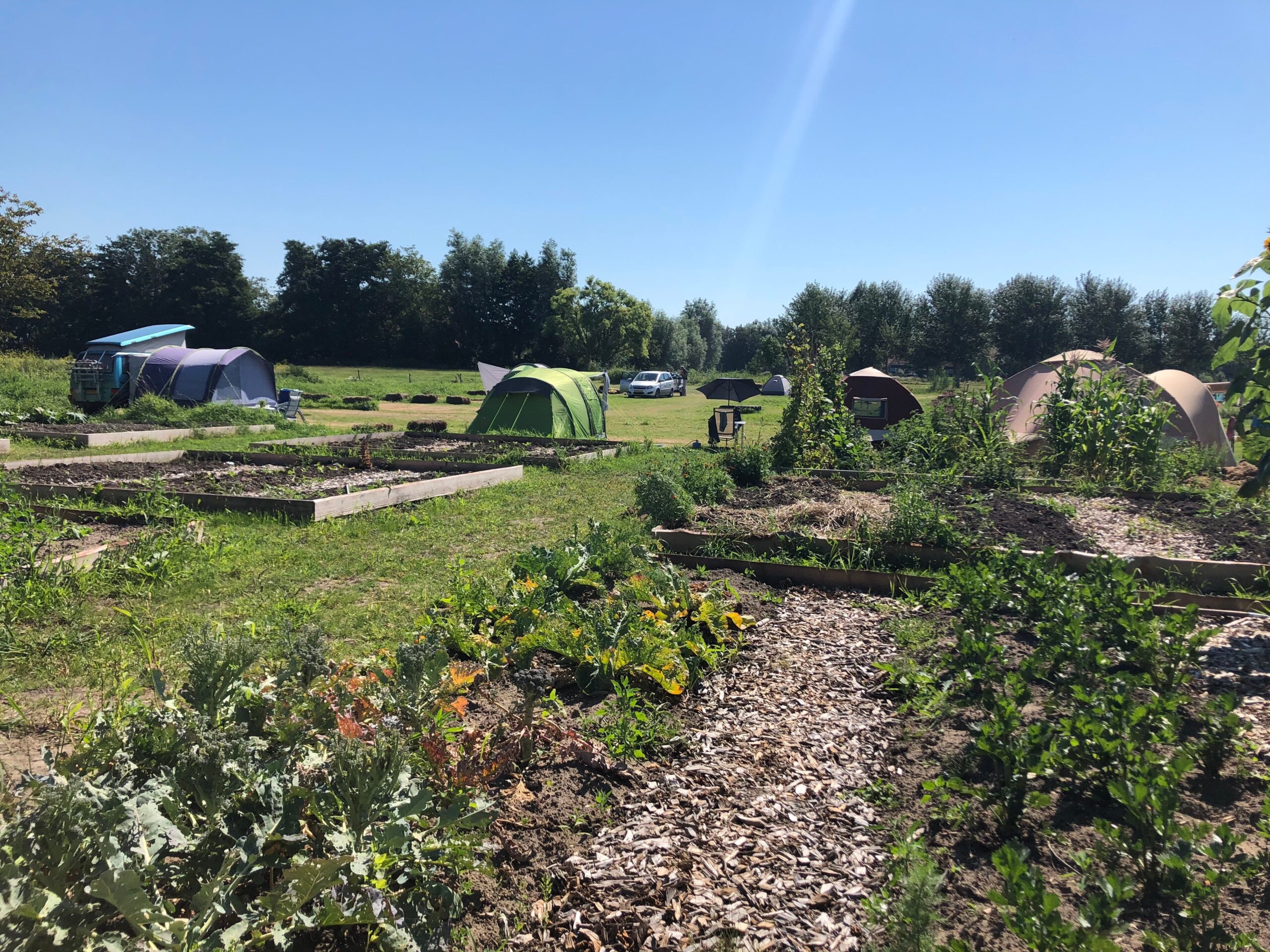 Stadsboerderij De Sibbe - Natuurcamping.nl