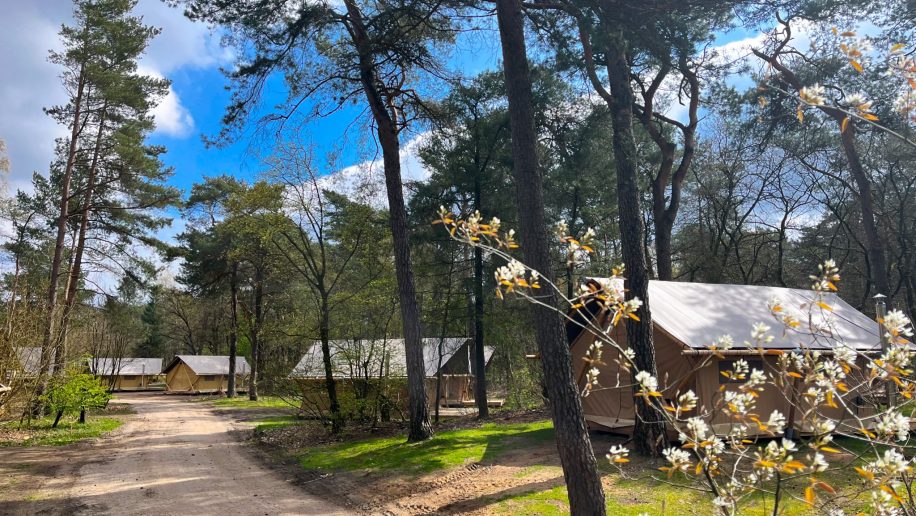 Camping Huttopia De Veluwe - Campingspotter.nl