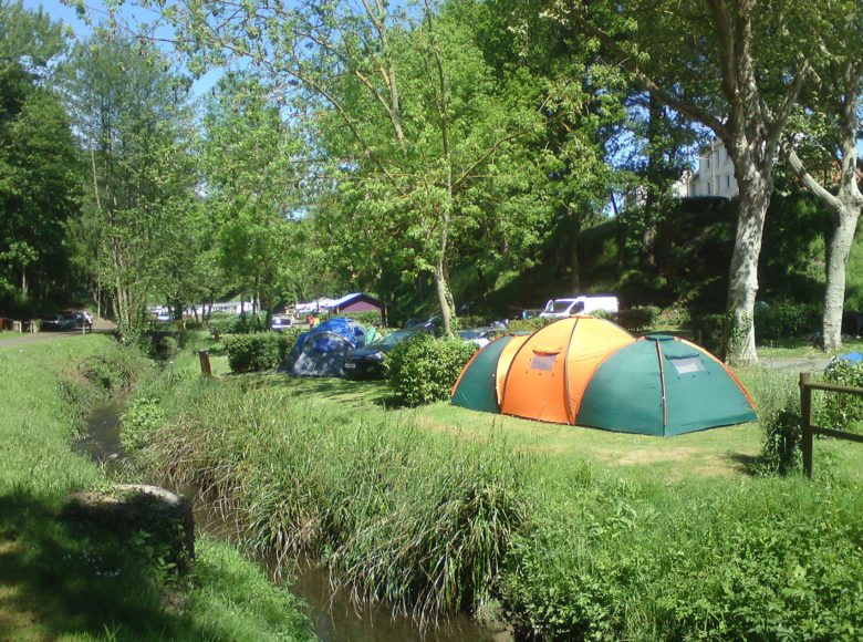 Flower Campings - 130 Campings van menselijk formaat in Frankrijk