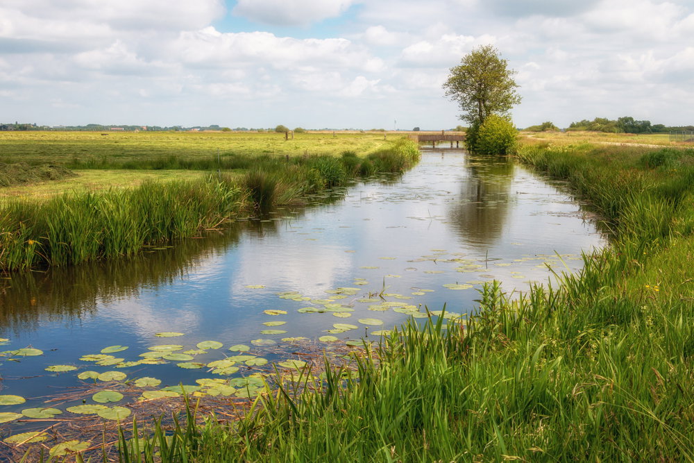 Natuurcampings in Friesland | Kamperen tussen water en weiland
