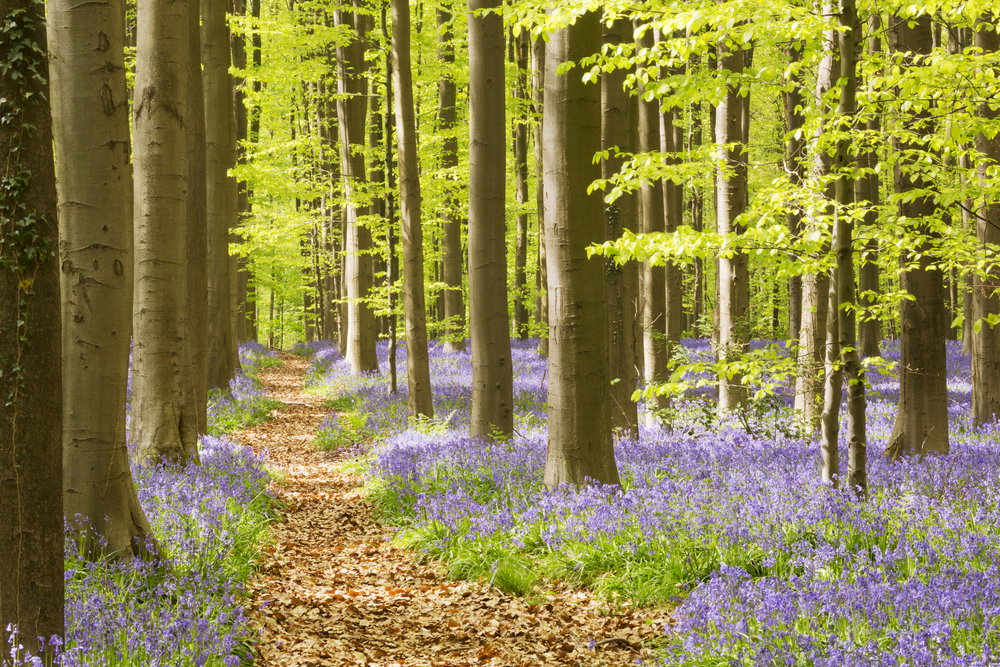 Minicamping België - kleinschalig kamperen in rust en natuur -Kleine ...
