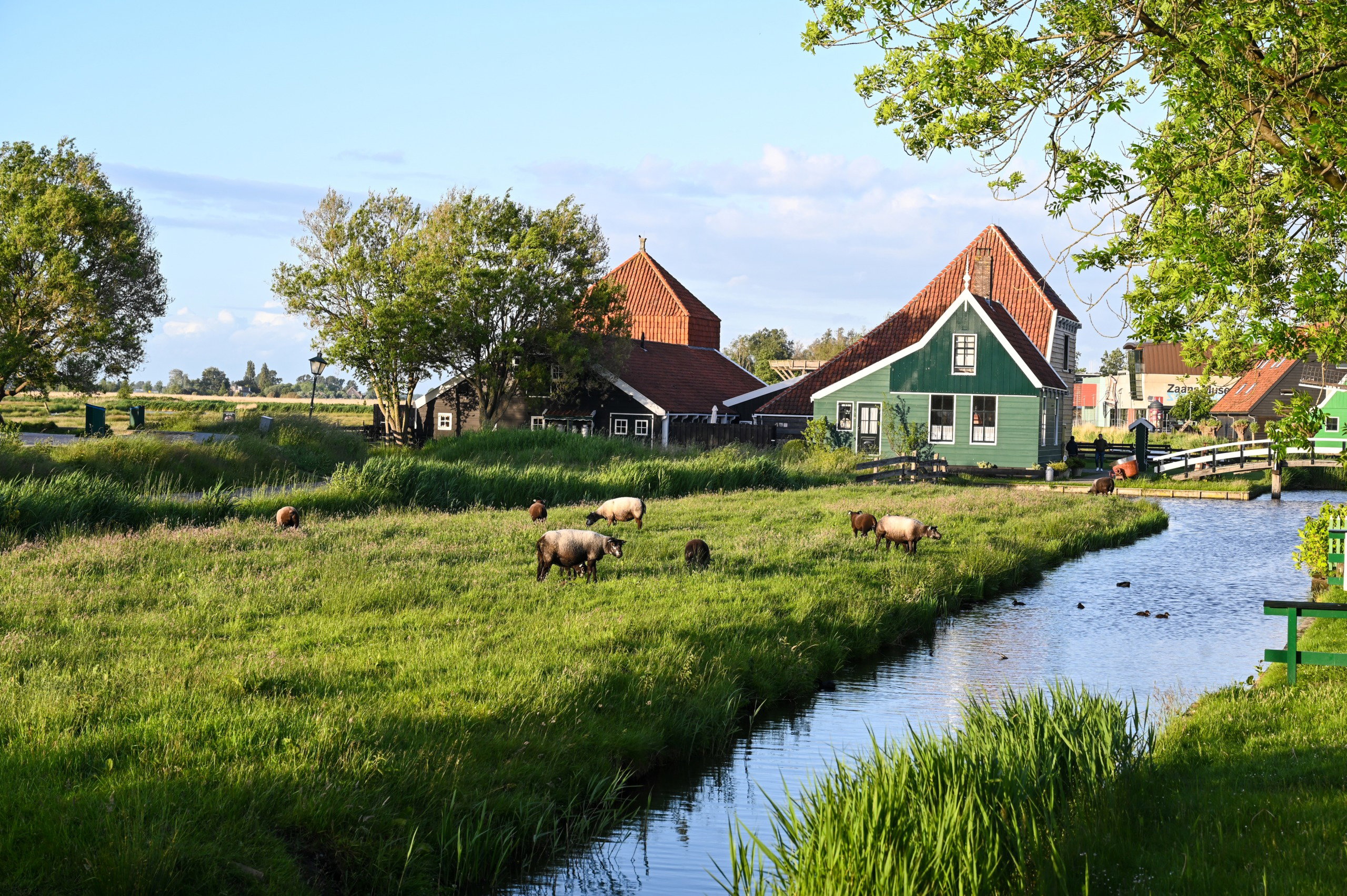 Boerencamping Nederland | Kamperen bij de boer