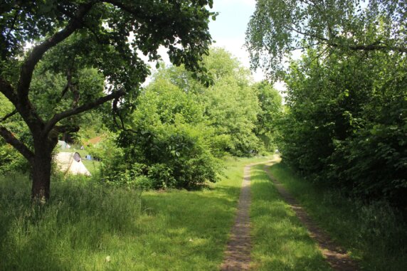Camping de Keite - Natuurcamping Hof van Twente - Overijssel