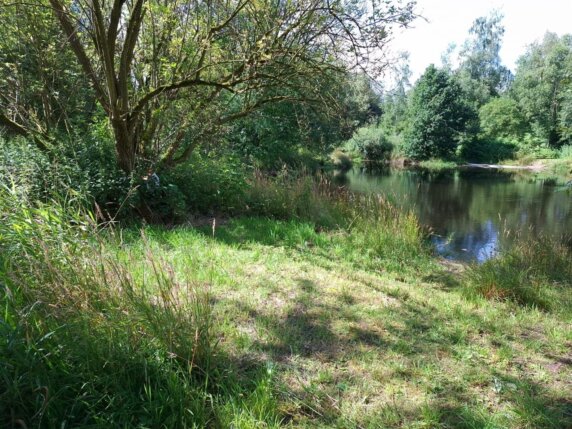 25 Graden Noord - Natuurcamping.nl