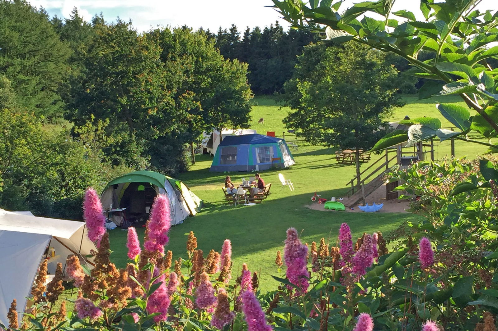 Charme campings in Denemarken met kinderen | Rust, natuur en gezelligheid